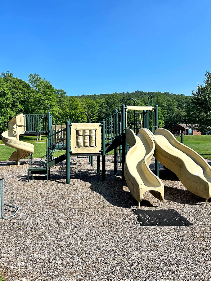 The playground: where kids burn off energy and parents secretly wish the slide was adult-sized too.