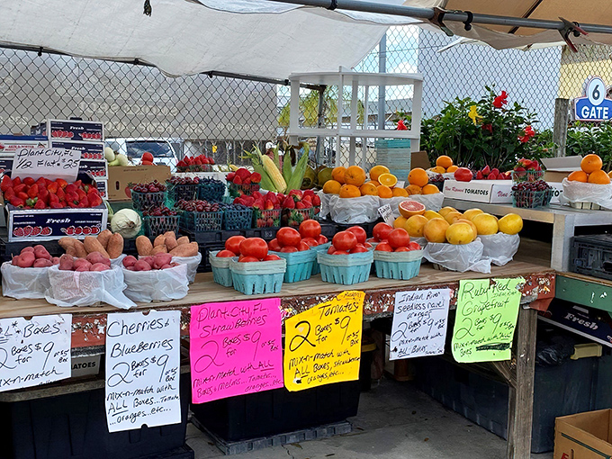 Fresh produce bursts with color against handwritten signs. Nature's candy displayed with all the care of fine jewelry.
