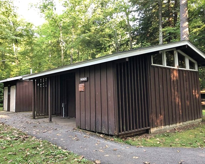 Park architecture 101: Brown buildings hide dirt beautifully while blending into the forest. Form following function since forever.