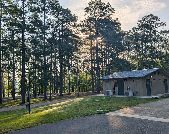 Even the facilities at White Oak Lake blend harmoniously with their surroundings &ndash; proof that function and forest can coexist beautifully.