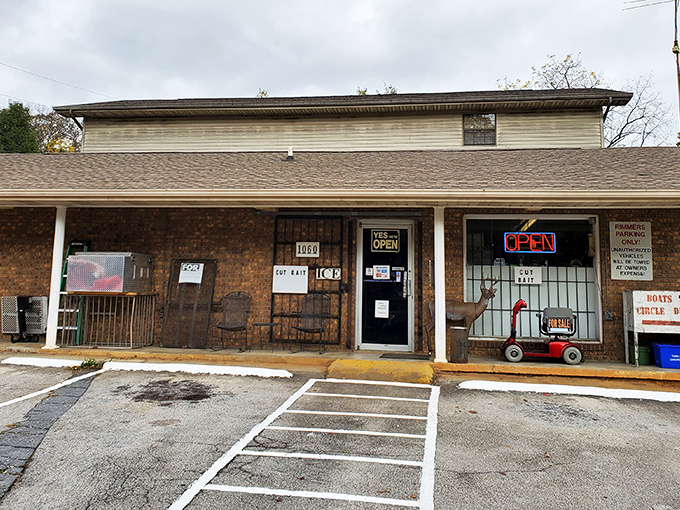 Rimmer's Sporting Goods: where fishing tales grow taller and tackle boxes get mysteriously heavier with each visit.