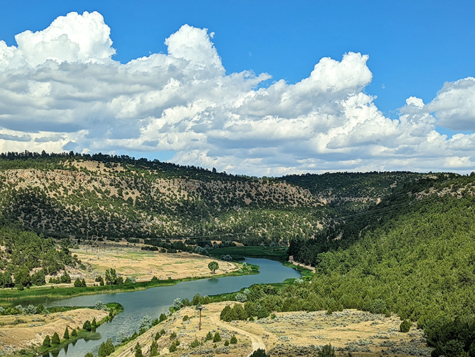 The river carves its path through Wyoming's landscape like an artist's signature on a masterpiece.