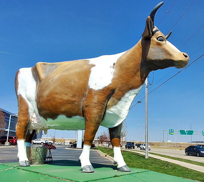 Morning light casts long shadows as Bessie stands guard over the parking lot, a silent sentinel of small-town charm and roadside whimsy.
