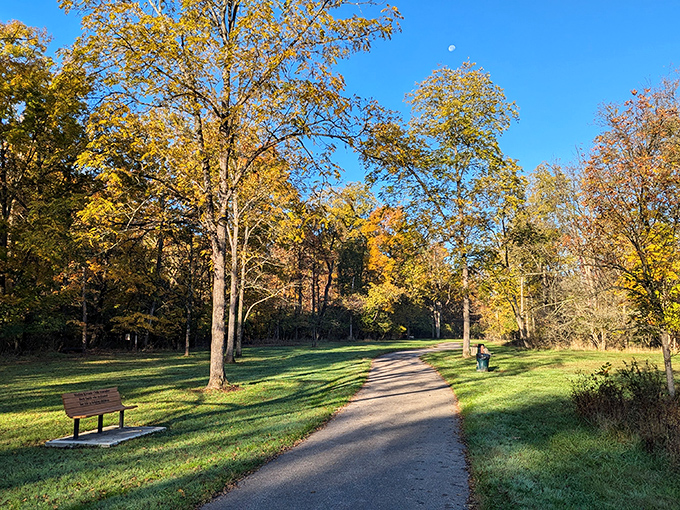 Roscoe Ewing Park's autumn trail invites contemplative strolls under golden canopies. That bench is practically begging you to sit and breathe deeply.