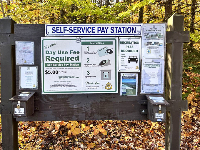 The honor system in action. This self-service pay station reminds us that maintaining natural beauty requires both appreciation and contribution.