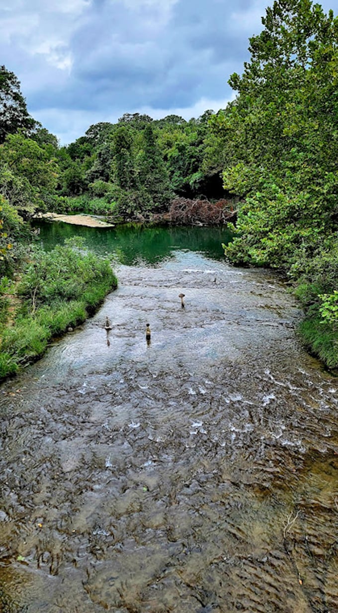 Travertine Creek's emerald waters flow through the Chickasaw National Recreation Area, where generations have come to cool off and make memories.