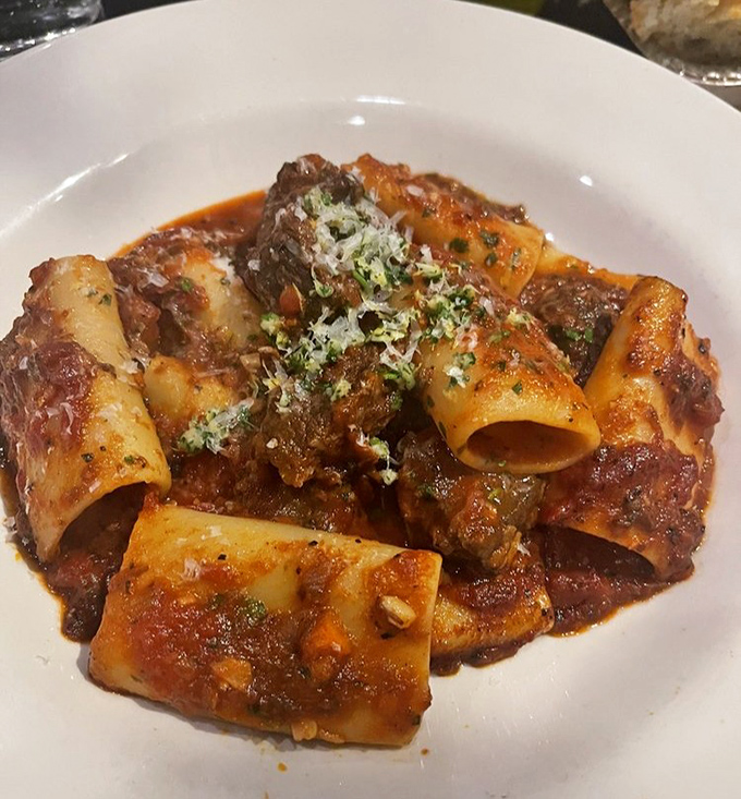 Short rib pasta that's had a long, meaningful relationship with its sauce. The kind of dish that makes you cancel your next three appointments.