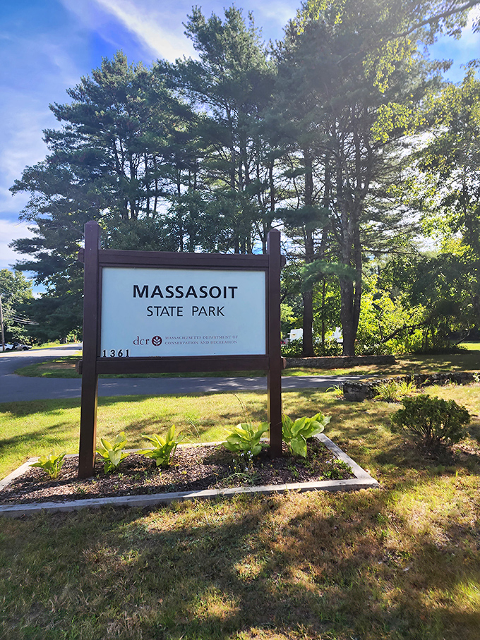 The entrance sign stands like a promise: beyond this point, stress is optional and nature is mandatory.