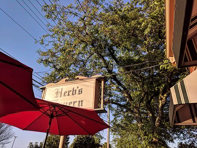The tavern sign stands sentinel against the blue Ohio sky, a beacon for those seeking refuge from mediocre meals and corporate dining experiences.
