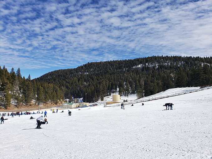 Winter transforms Cloudcroft into a budget-friendly wonderland where families can experience snow sports without taking out a second mortgage.