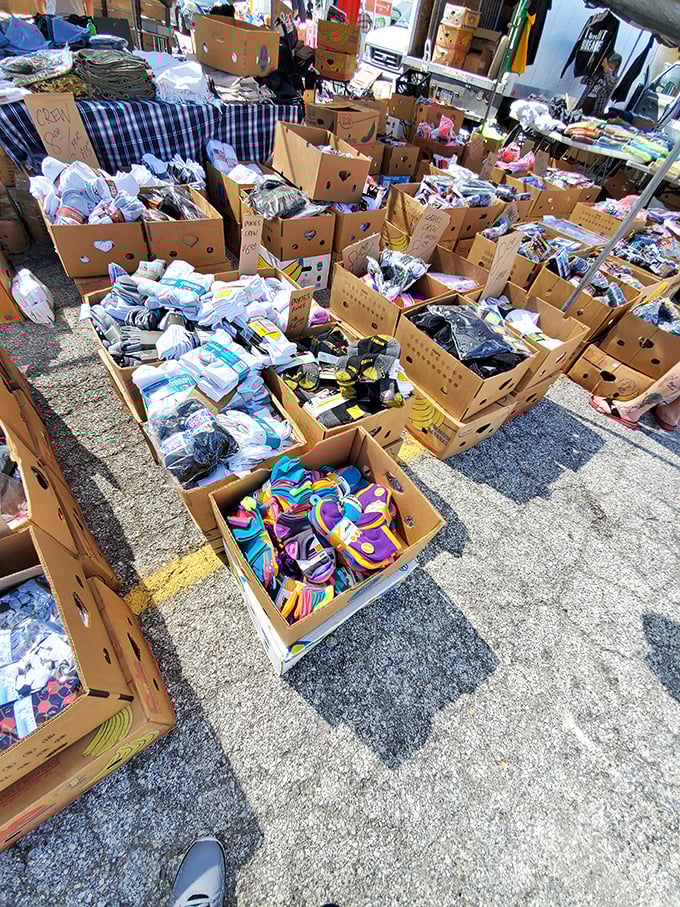 Sock paradise in cardboard valleys, where rainbow colors and practical basics compete for attention in the Philadelphia sunshine.
