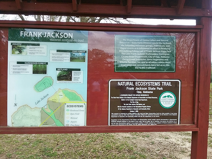 The trail map revealing diverse ecosystems&mdash;pine forests, wetlands, and hardwoods all sharing space in nature's neighborhood.