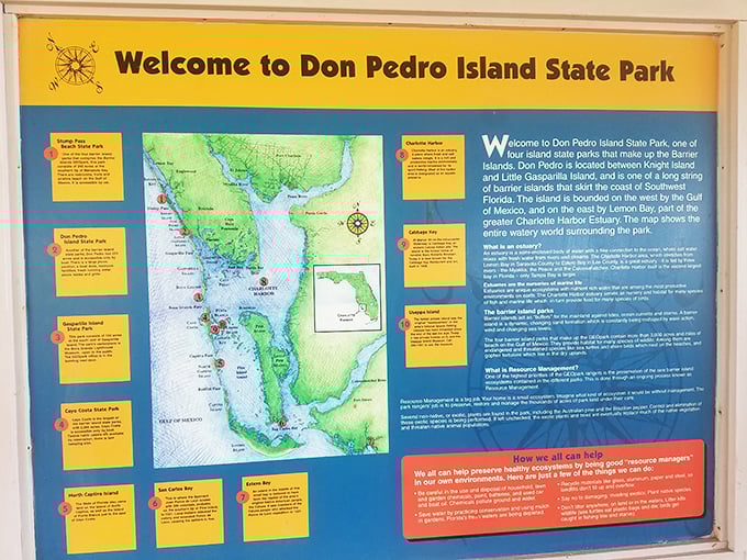 Mapping paradise – this informative display reveals the island's place in Florida's complex coastal ecosystem.