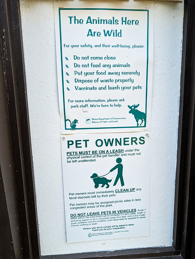 Wildlife etiquette 101: Respect the locals who were here first. These gentle reminders help preserve Lamoine's natural charm for future visitors.