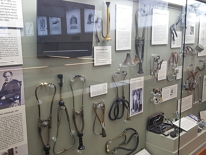 A young visitor discovers medical wonders with wide-eyed curiosity. The museum sparks interest across generations, proving history is never just for grown-ups.