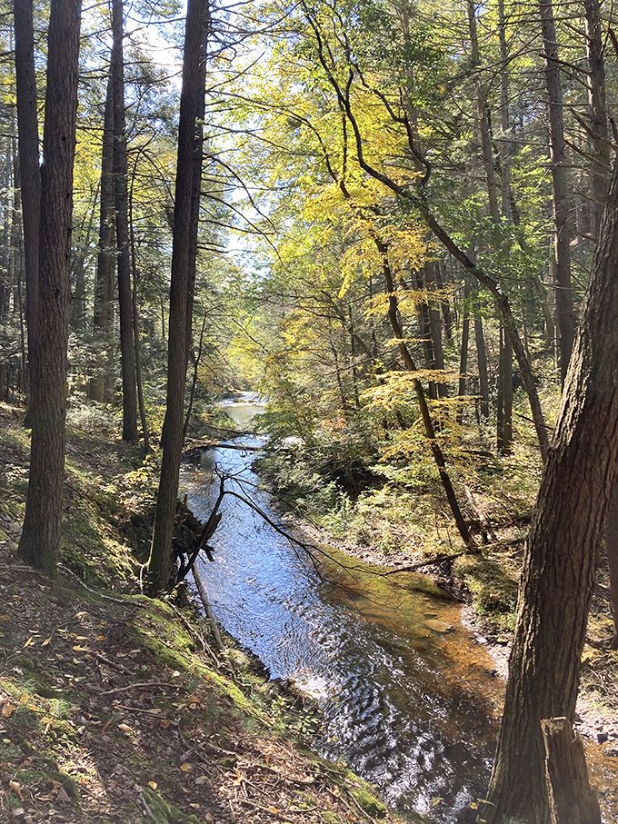 This gentle stream is just warming up for its grand performance downstream. The opening act to nature's headliner.