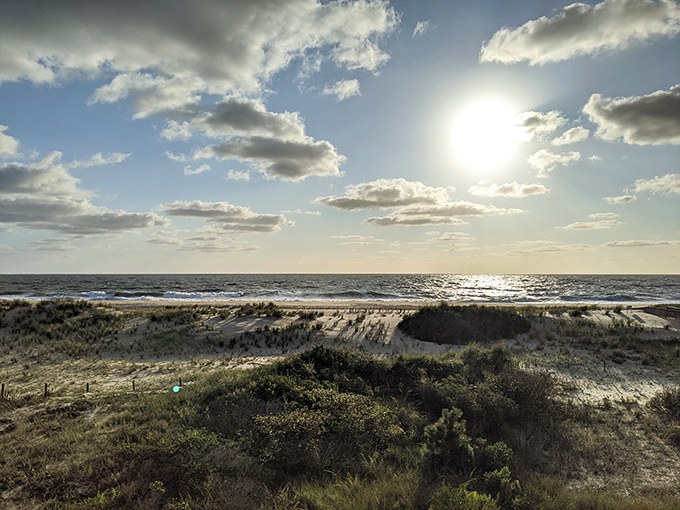 Sun-kissed dunes roll toward the horizon, proving Delaware's coast holds its own against any tropical paradise.