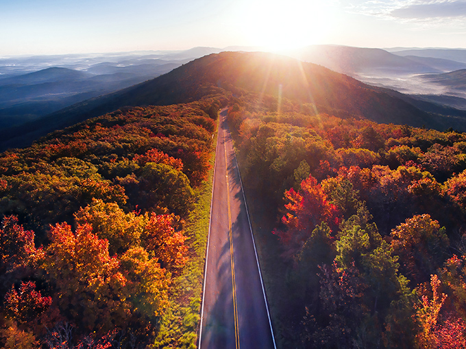 Sunrise paints the Ouachitas in gold. This aerial view makes you understand why early morning wake-up calls are sometimes worth it.