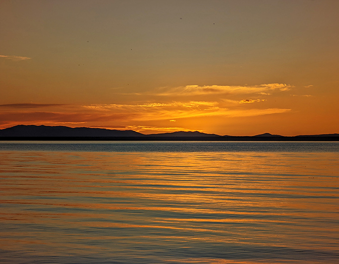 Sunset alchemy transforms water into liquid gold. This daily spectacle makes you forget about deadlines, emails, and whether you left the garage door open.