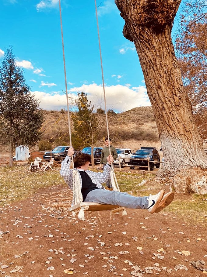 A tree swing that beckons adults to remember childhood joy, especially after sampling the Syrah.