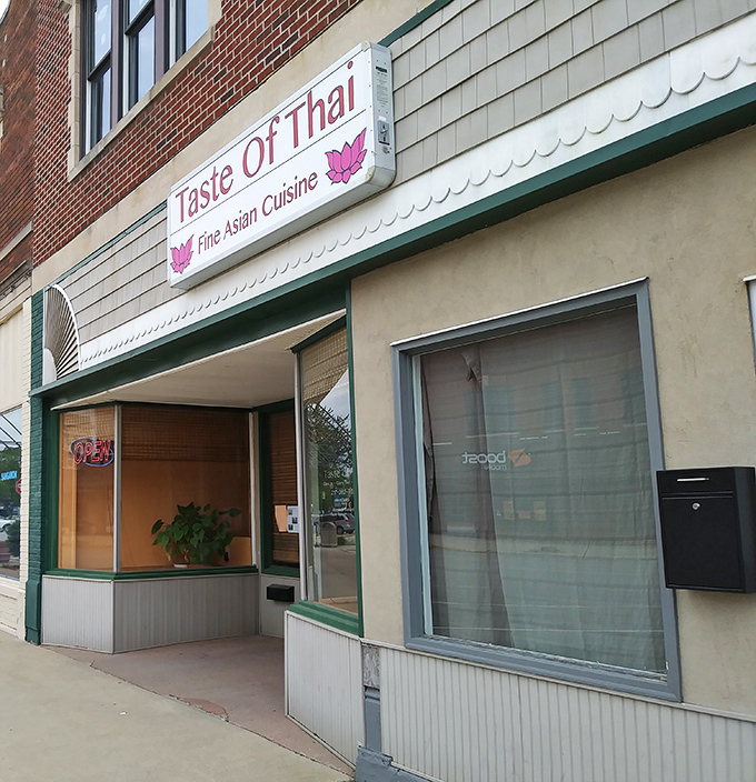 Taste of Thai brings unexpected culinary diversity to small-town Illinois, proving good pad thai knows no geographical boundaries.