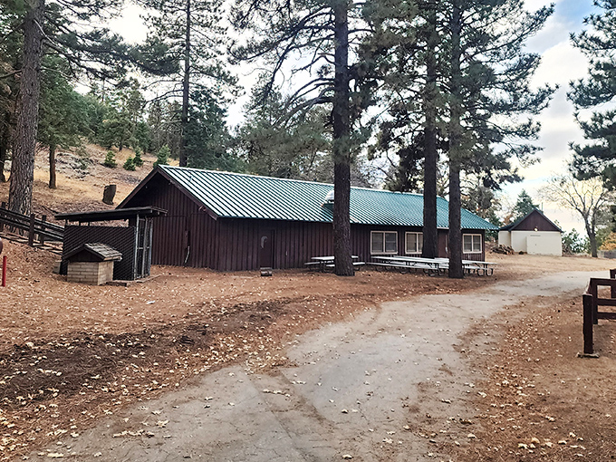Tehachapi Mountain Park offers rustic cabins where "getting away from it all" actually means something in our notification-filled world. 