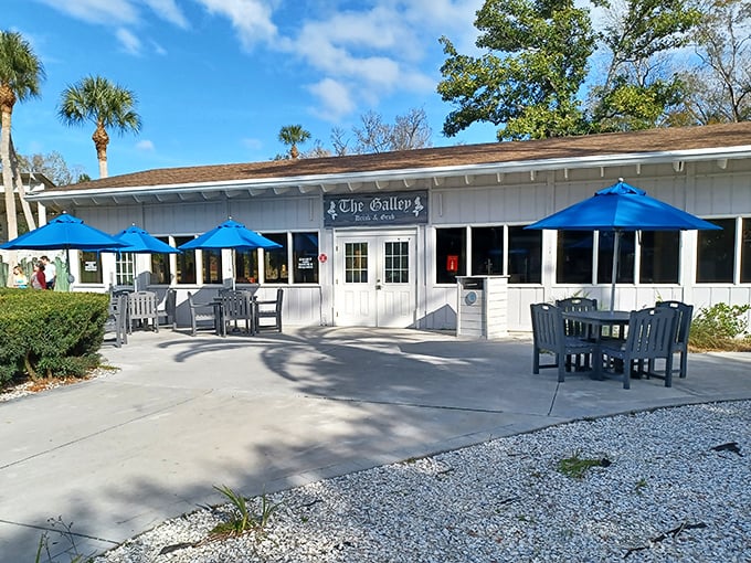 The Galley serves up casual fare with a side of mermaid views. Nothing builds an appetite quite like watching underwater performers who never get to enjoy a cheeseburger.