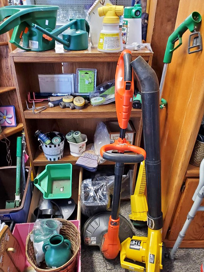 Garden tools and household helpers lined up like eager volunteers. That leaf blower has Wyoming autumn written all over it.