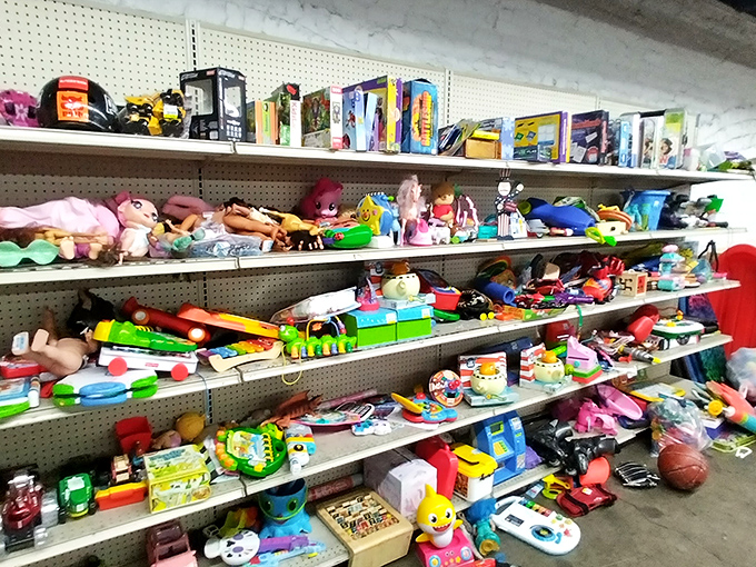 Toy paradise! Where childhood memories are stacked five shelves high and yesterday's Happy Meal surprises become tomorrow's vintage collectibles.