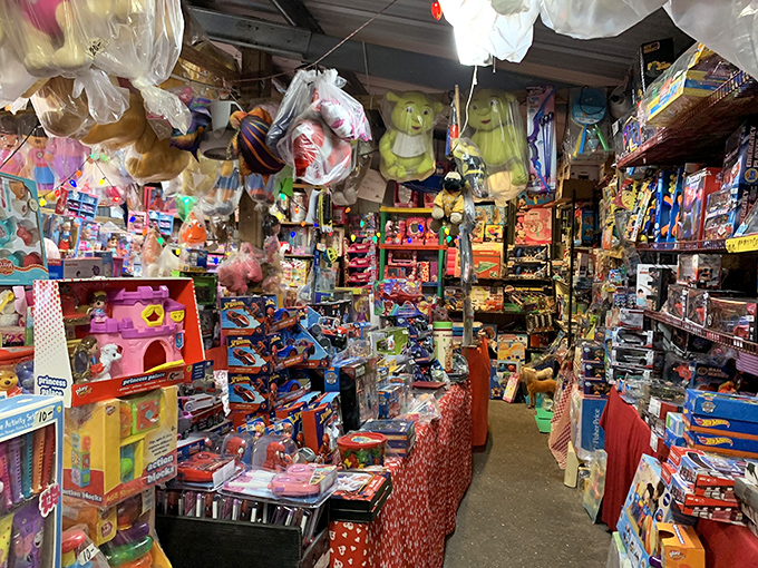 Toy wonderland that makes adults suddenly remember childhood Christmas wishes. Warning: you may find yourself buying that action figure "for your nephew."
