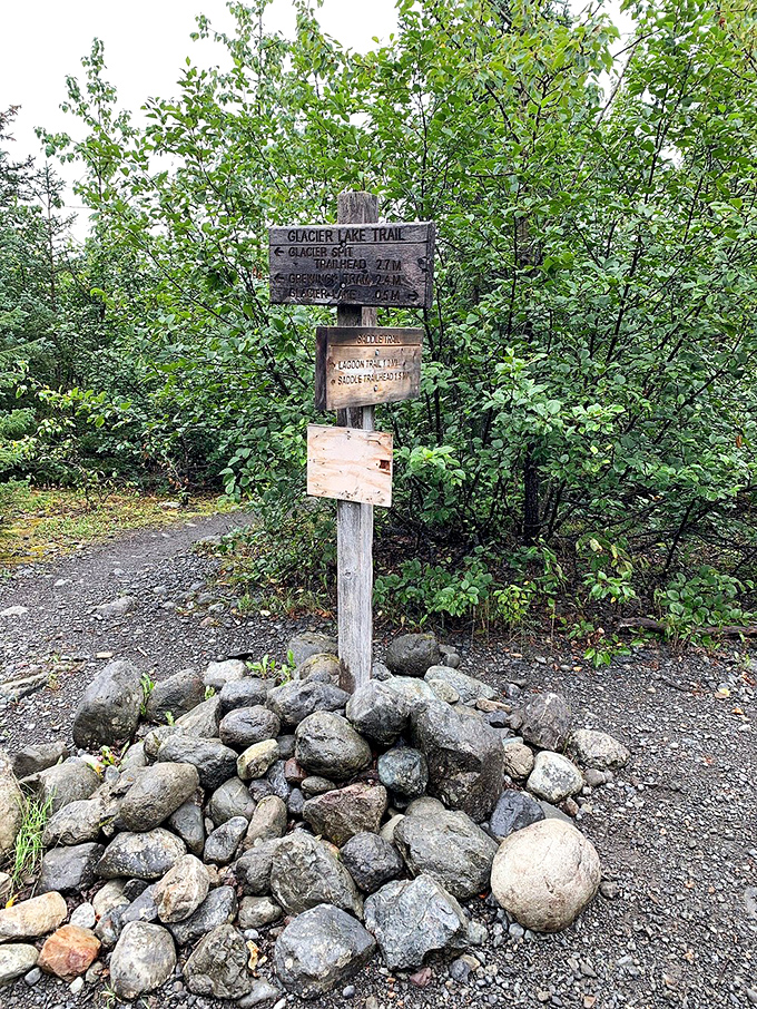 Trail signs that promise adventure in every direction. The wooden equivalent of Nature saying "Choose your own adventure, human."