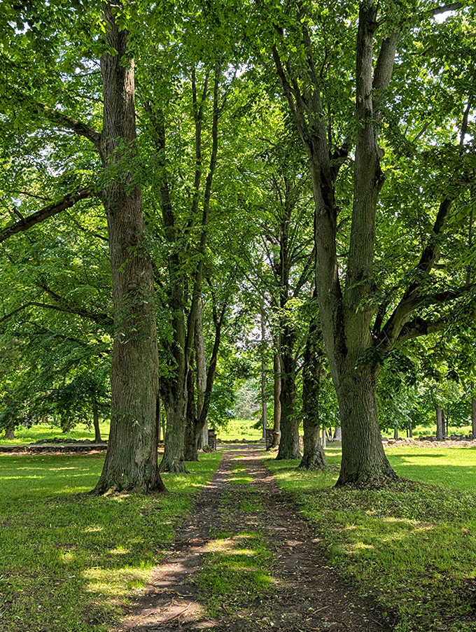 Cathedral of leaves &ndash; this tree-lined path offers summer shade and autumn splendor in equal measure, no admission fee required.