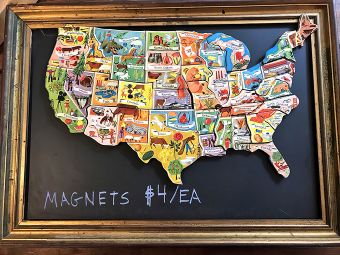 Geography lessons never looked so good. This vintage USA map turns state trivia into wall art that's both educational and surprisingly stylish.