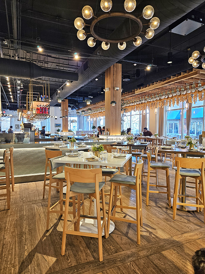 Vasili's modern dining room proves suburban restaurants can do sophisticated ambiance without Manhattan's claustrophobic seating arrangements.