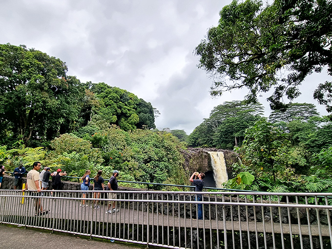 Morning crowds gather like it's opening day at their favorite restaurant, except the main course is pure natural beauty.
