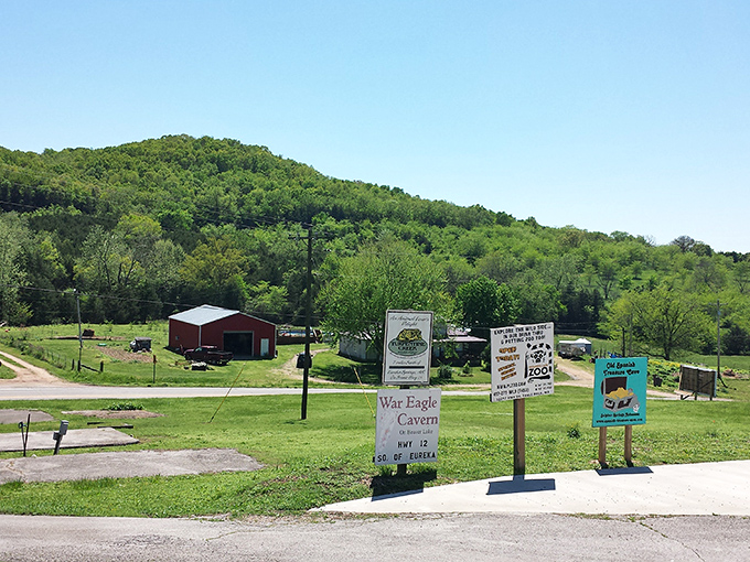 Above ground, the Ozark hills keep their subterranean secrets well-hidden. Who would guess at the wonderland beneath these trees?