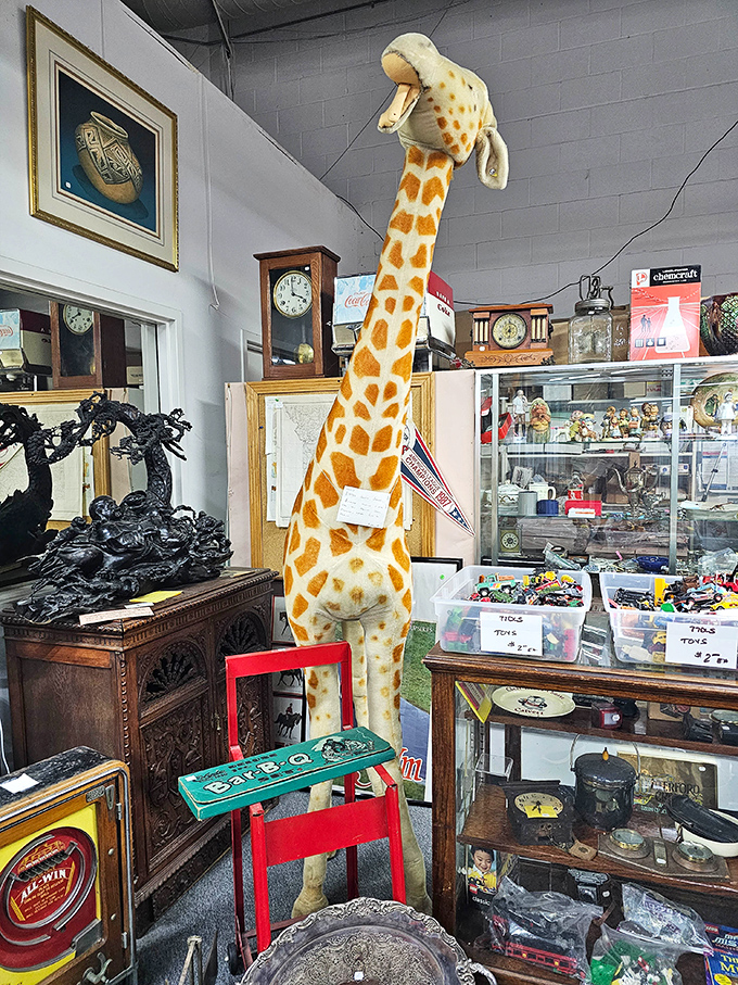 Where else can you find vintage clocks, stuffed giraffes, and pennants sharing space like the world's most eclectic roommates?