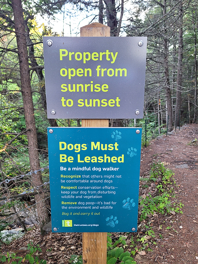 The rules of engagement &ndash; this sign reminds us that even paradise needs protection. Dawn to dusk visiting hours mean perfect lighting!