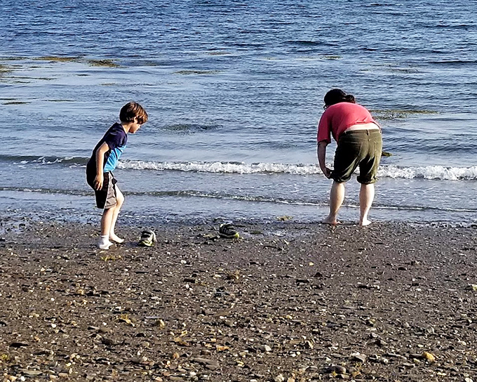Visitors exploring the shoreline discover that the best entertainment doesn't require screens, just curiosity and good timing. 