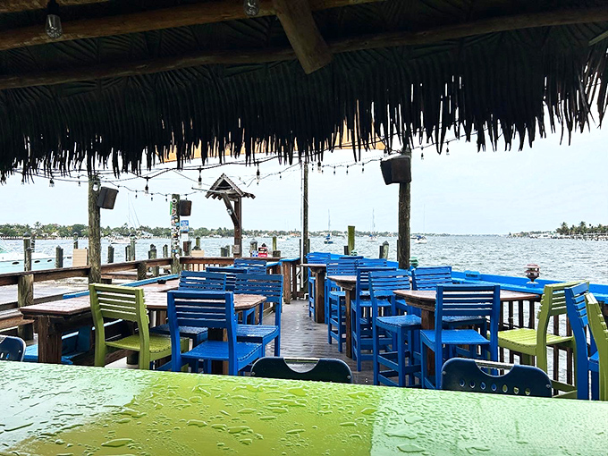 Colorful chairs under a thatched roof with water views&mdash;this isn't just dining, it's a Florida postcard come to life.