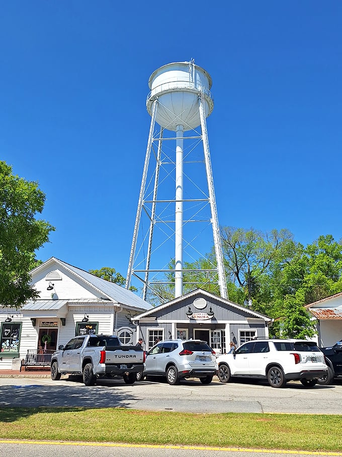 That water tower isn't just Senoia's unofficial mascot&mdash;it's a beacon calling you to slow down and remember what America used to taste like.