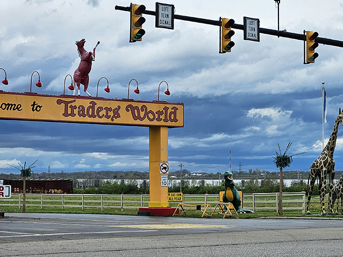 Gateway to bargain paradise! The iconic entrance sign with its whimsical animal sentries promises adventures in collecting just beyond.