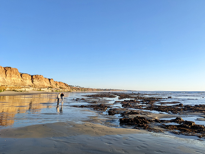Low tide reveals Terramar's secret garden of tide pools and reflective surfaces &ndash; a photographer's dream canvas at golden hour.