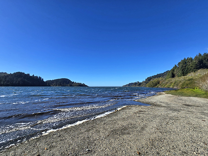 Sunlight dancing across rippling waters under impossibly blue skies. This is California showing off what it does best.