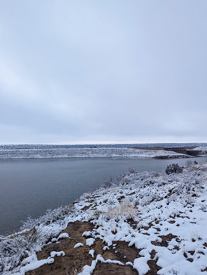 Winter transforms the landscape into something surprisingly beautiful, like nature's own minimalist art installation gone right.