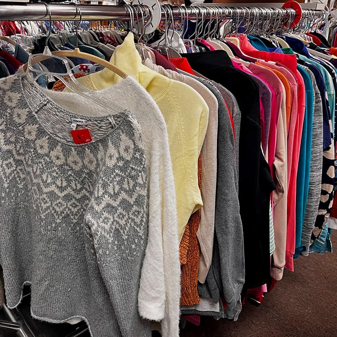 Cozy sweaters in neutral tones promise warmth and style without the department store sticker shock.