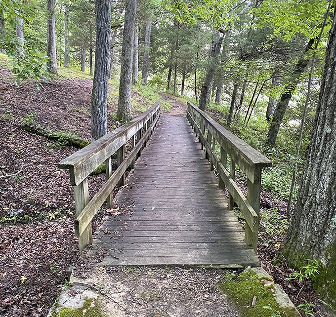 This wooden footbridge isn't just a path&mdash;it's an invitation to discover whatever lies around the bend.