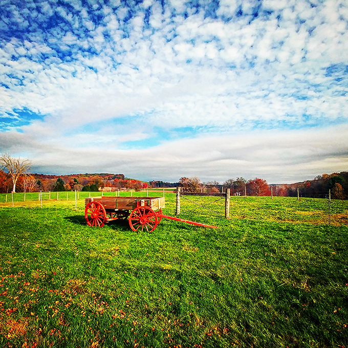 This antique wooden cart sits like a time traveler against rolling fields, a reminder of farming methods before horsepower meant engines.