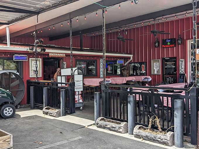 The Woodyard Grill's red-checkered charm proves that sometimes the most memorable dining happens where pretension is left at the door.