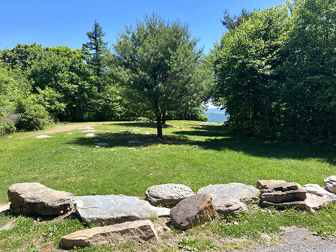 Approaching the overlook through this grassy clearing feels like discovering a secret someone forgot to widely publicize.